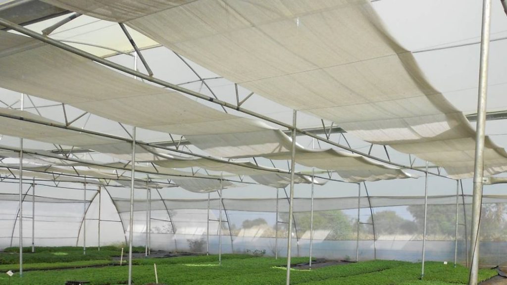 How to Start Greenhouse Farming with Shade Nets? - Shadenet